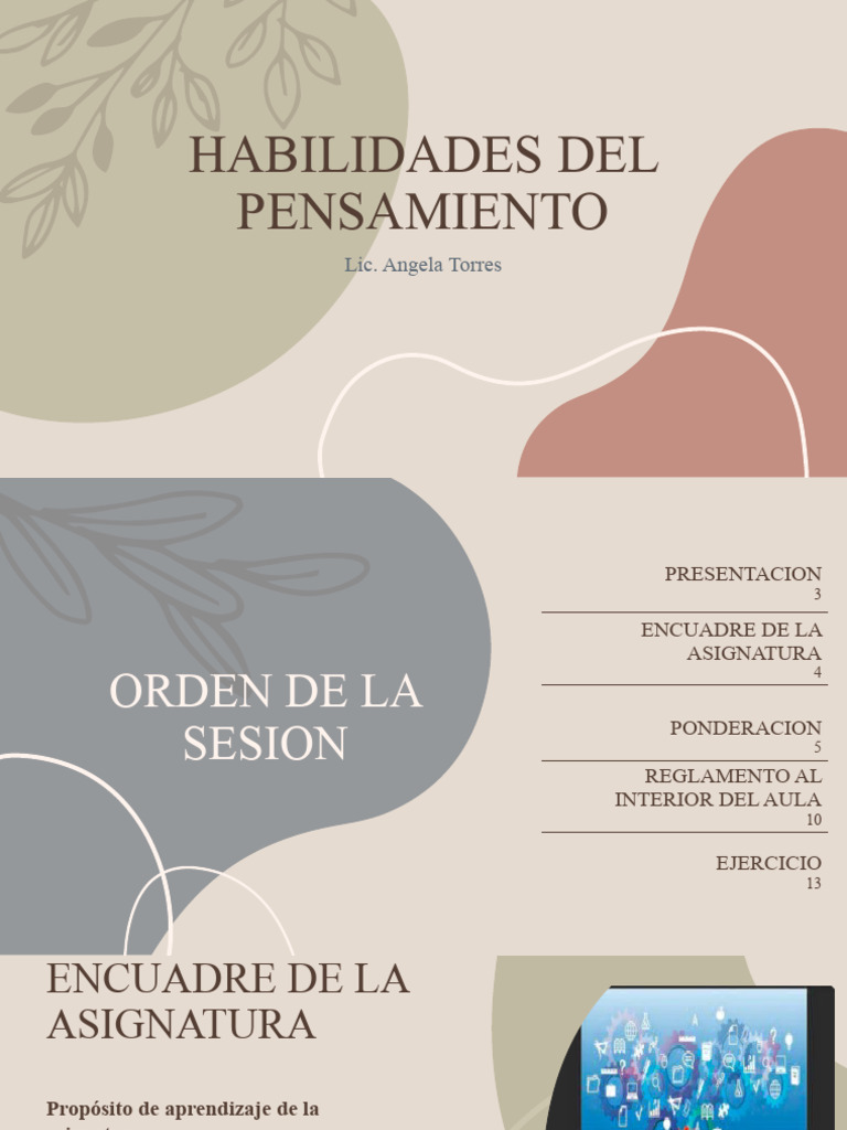 Habilidades Del Pensamiento | PDF