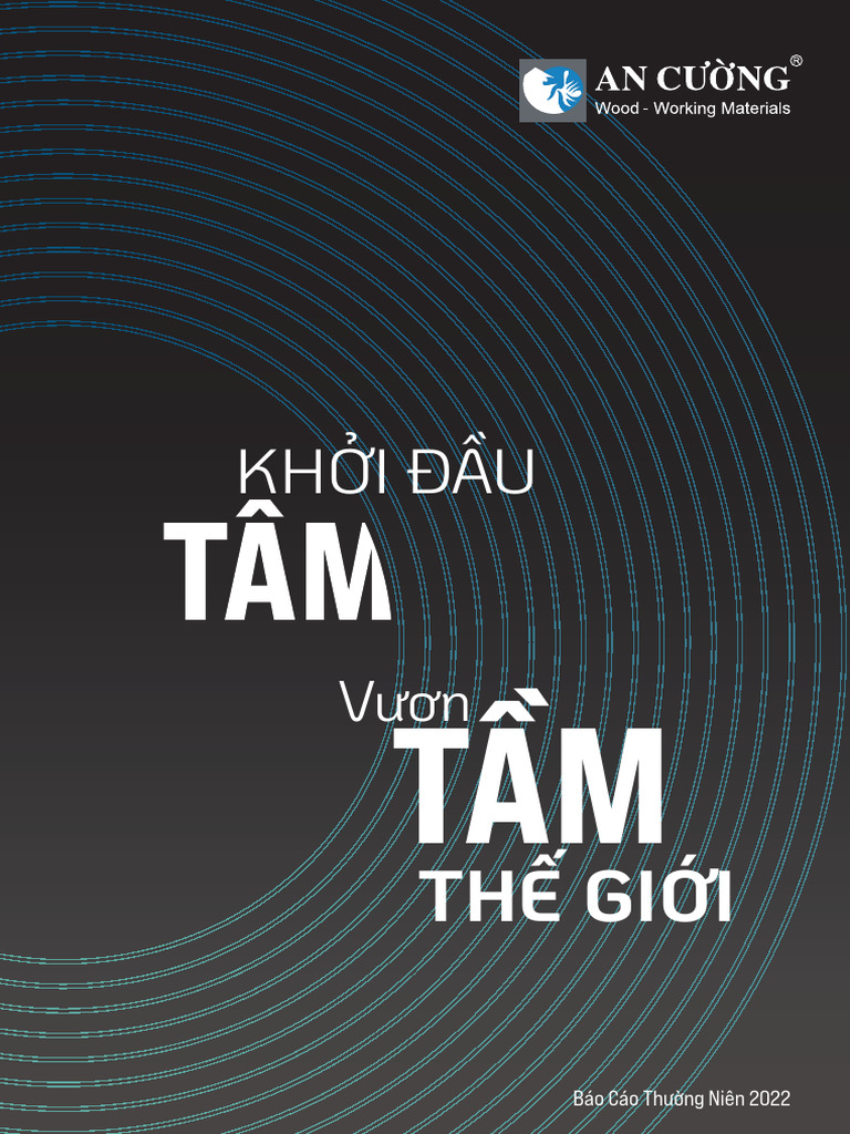 Bao Cao Thuong Nien 2022 Web | PDF