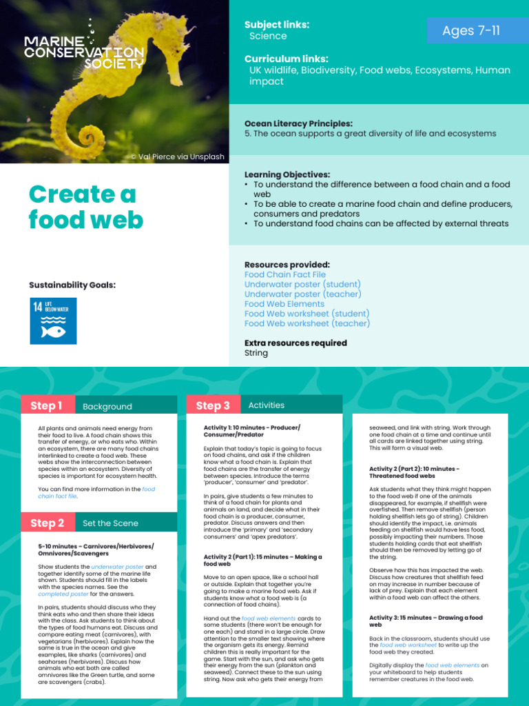 Create A Food Web AO2 Lesson Plan and Worksheets | PDF