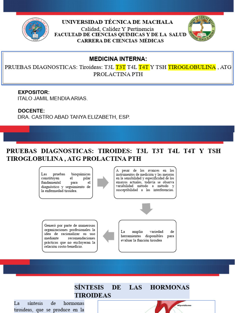 Pruebas Diagnosticas Tiroideas t3 L t3t t4 L t4t T TSH | PDF | Hipertiroidismo | Hormona ...