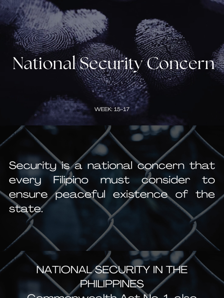 NSTP National Security Concern | PDF