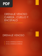 Prensa de Herofilo | PDF | Cerebro | Vena