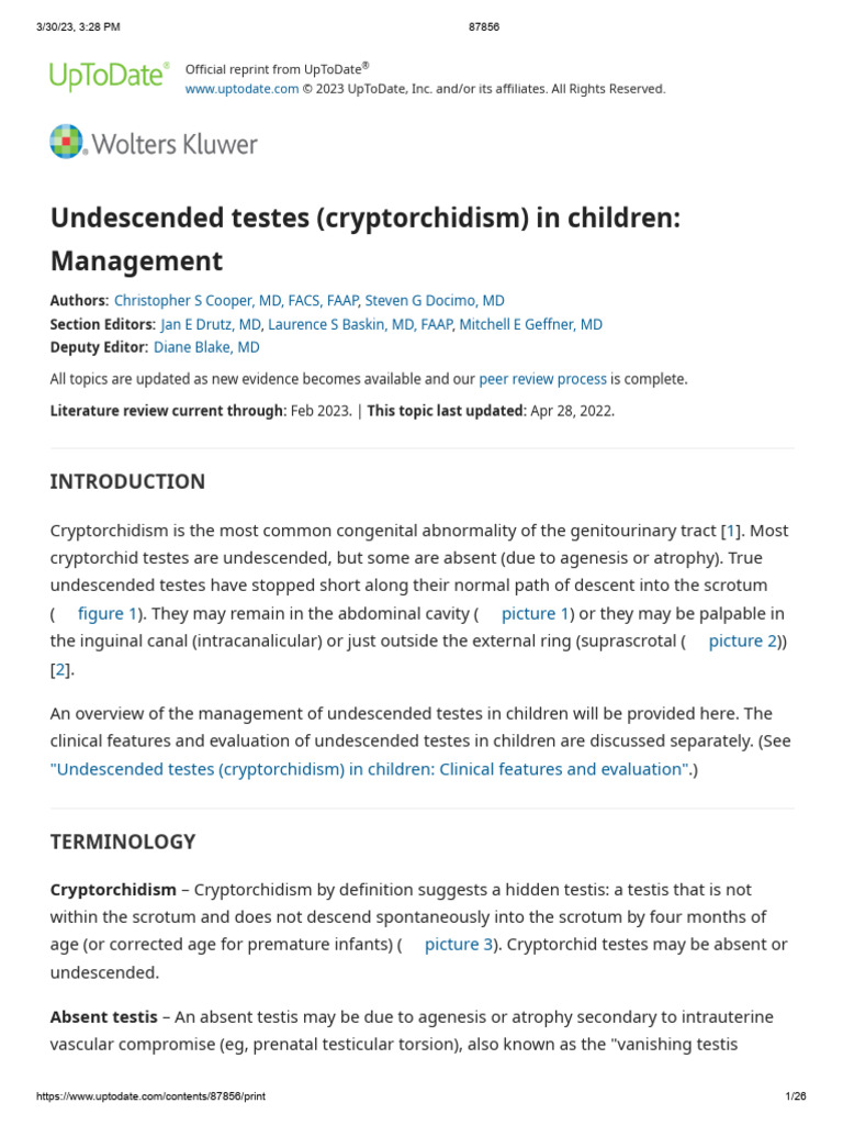 Undescended Testes (Cryptorchidism) in Children: Management | PDF