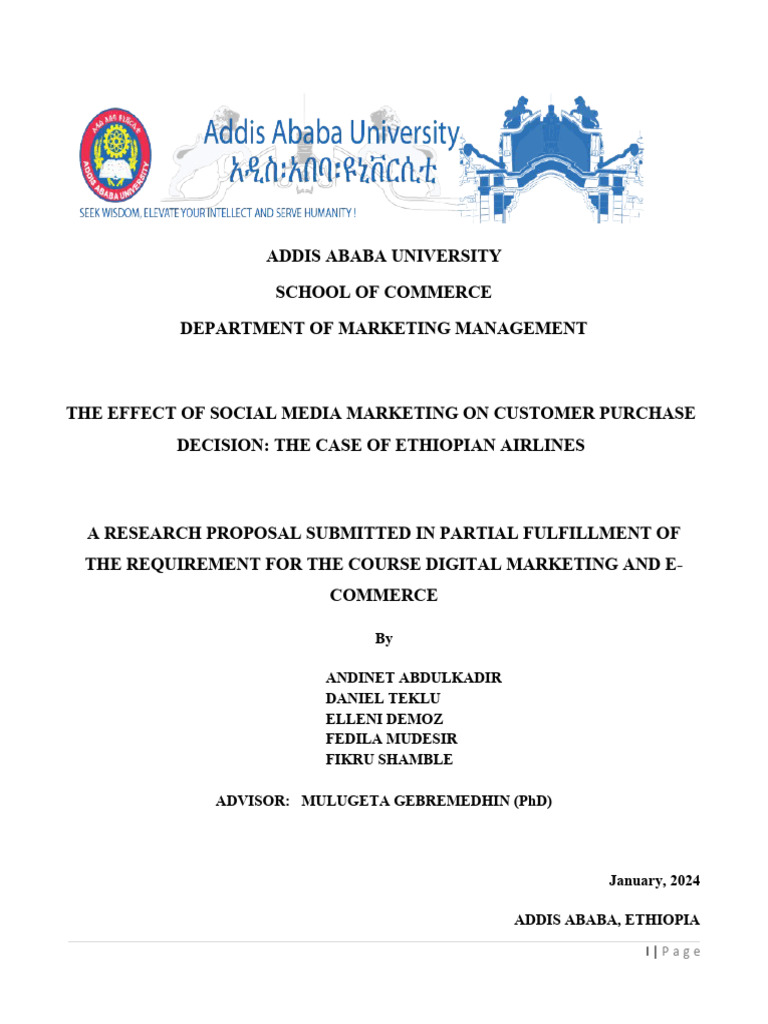 Fikru | PDF | Marketing | Social Media