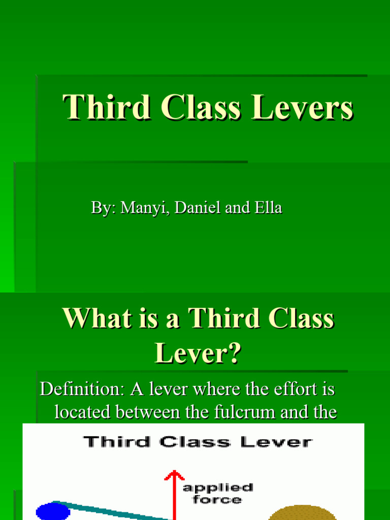 Third Class Levers | PDF