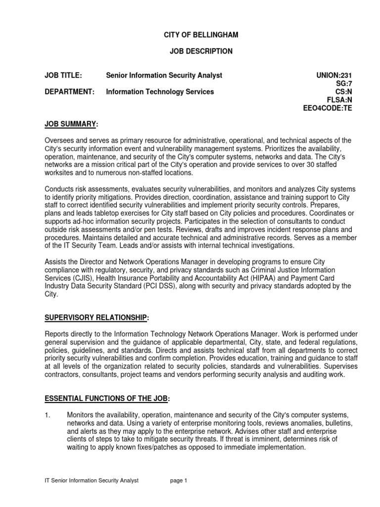 IT Information SR Security Analyst | PDF