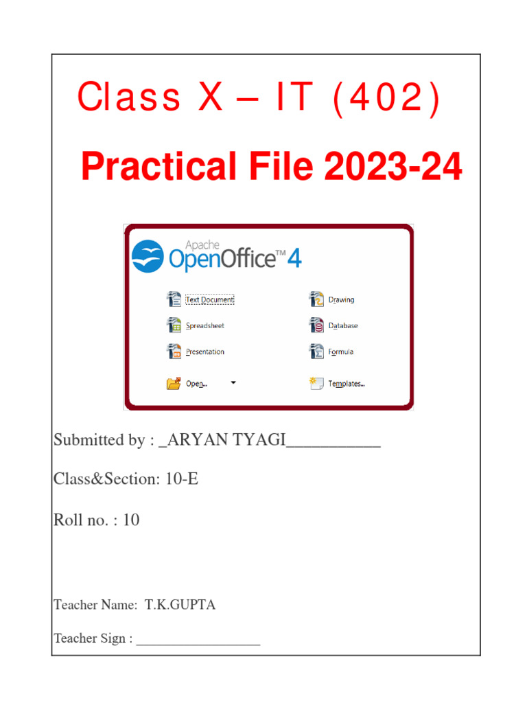 Information Technology 402 Class 10 Practical File 2021 | PDF