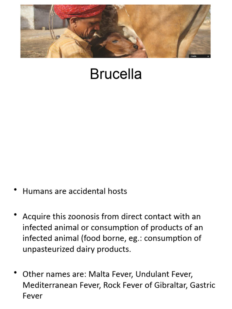 Brucella Presentation to Upload | PDF | Medical Specialties | Clinical Medicine