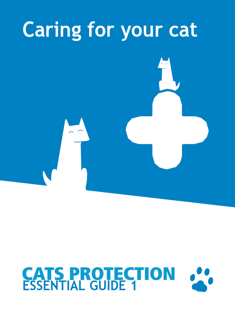 Eg01 Caring For Your Cat | PDF