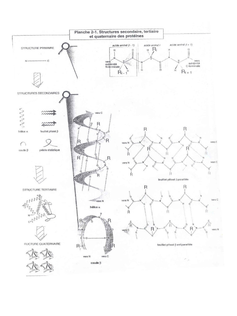 Planche Structures I, II, III Et IV-1 | PDF