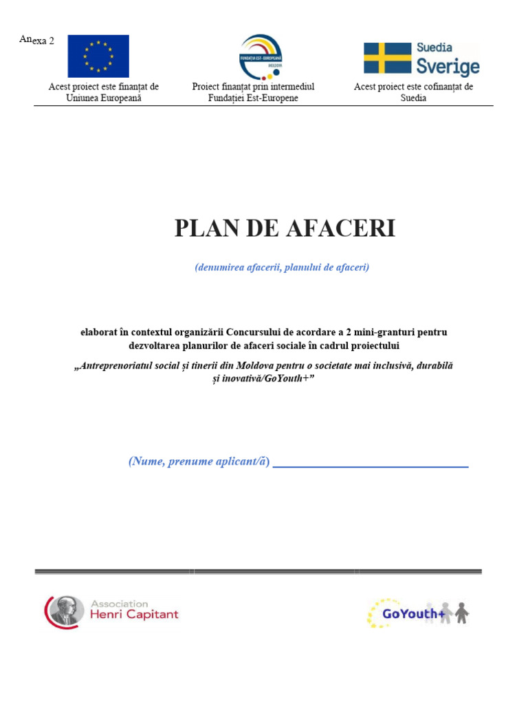 Anexa 2 Formular Plan Afaceri-1 | PDF