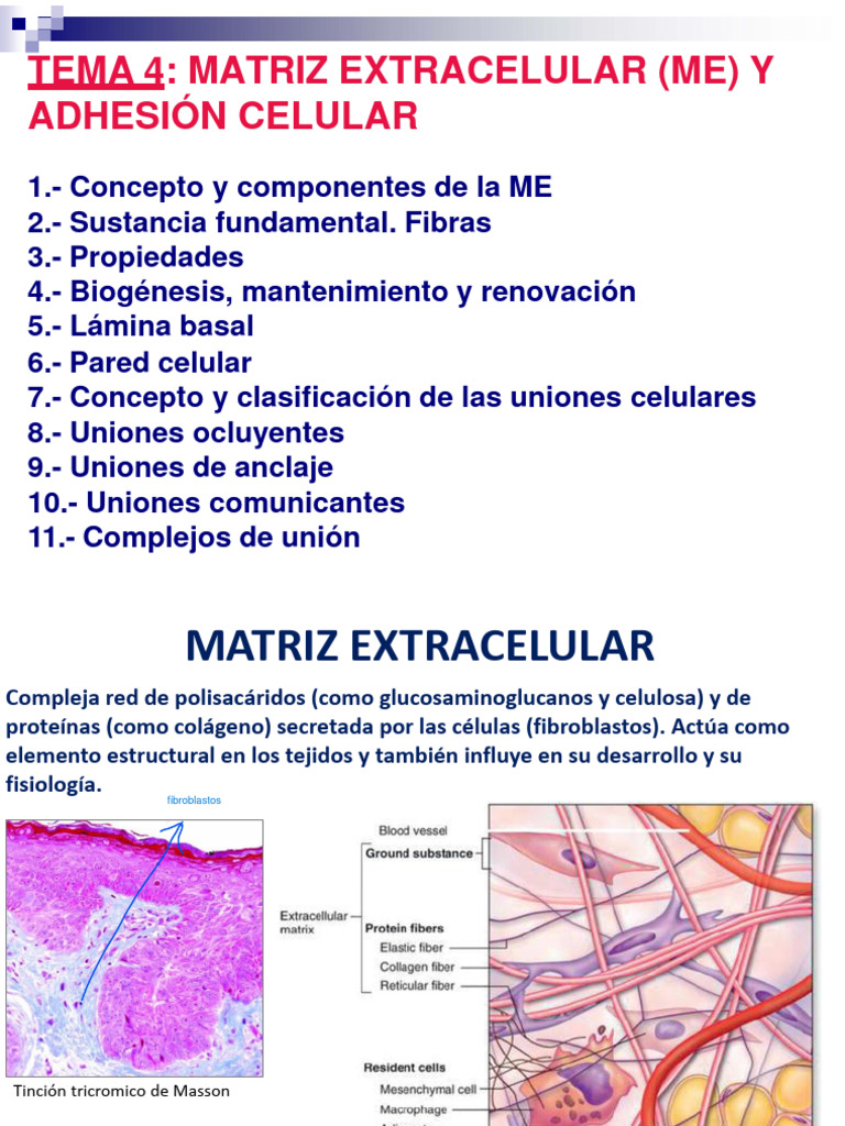 4 ME-uniones | PDF