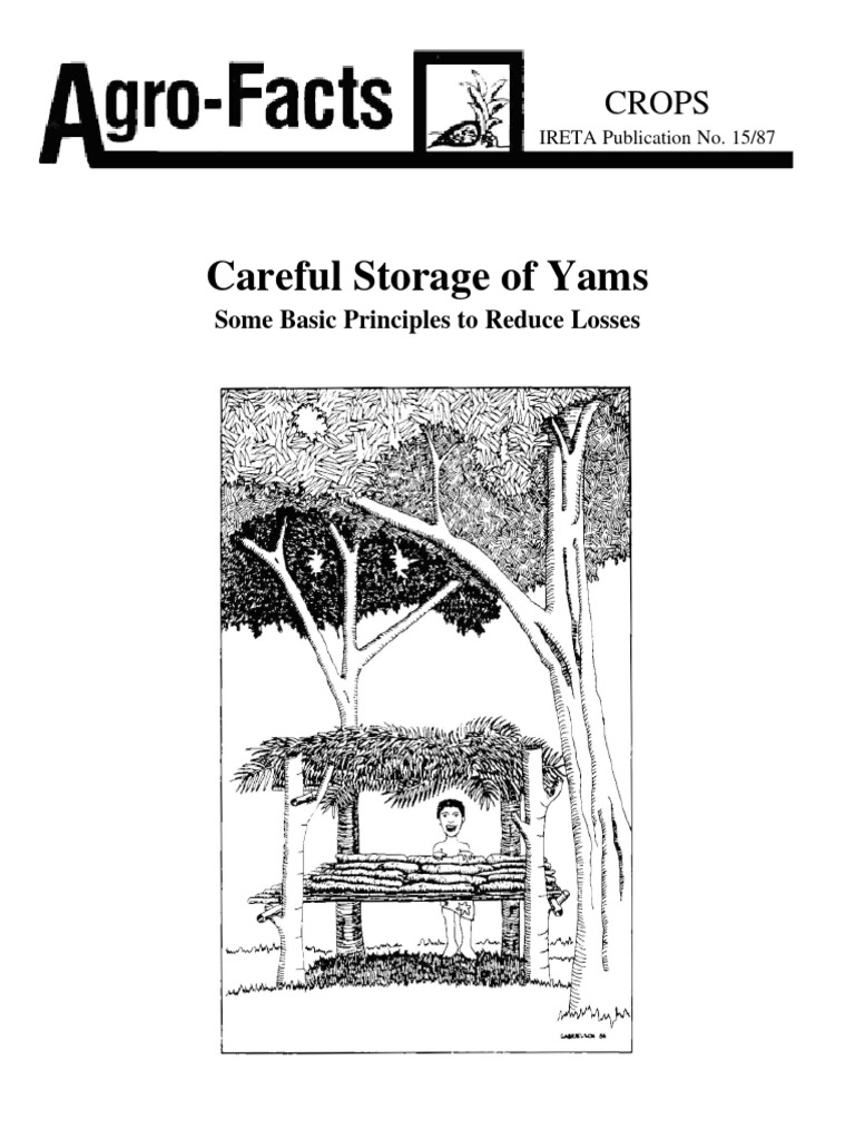 Yam Storage | PDF
