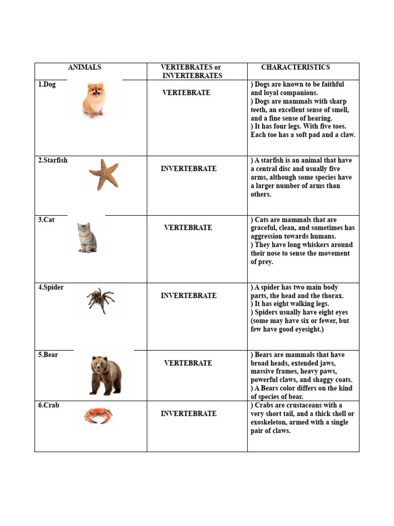 Five Types of Animals Explained | PDF