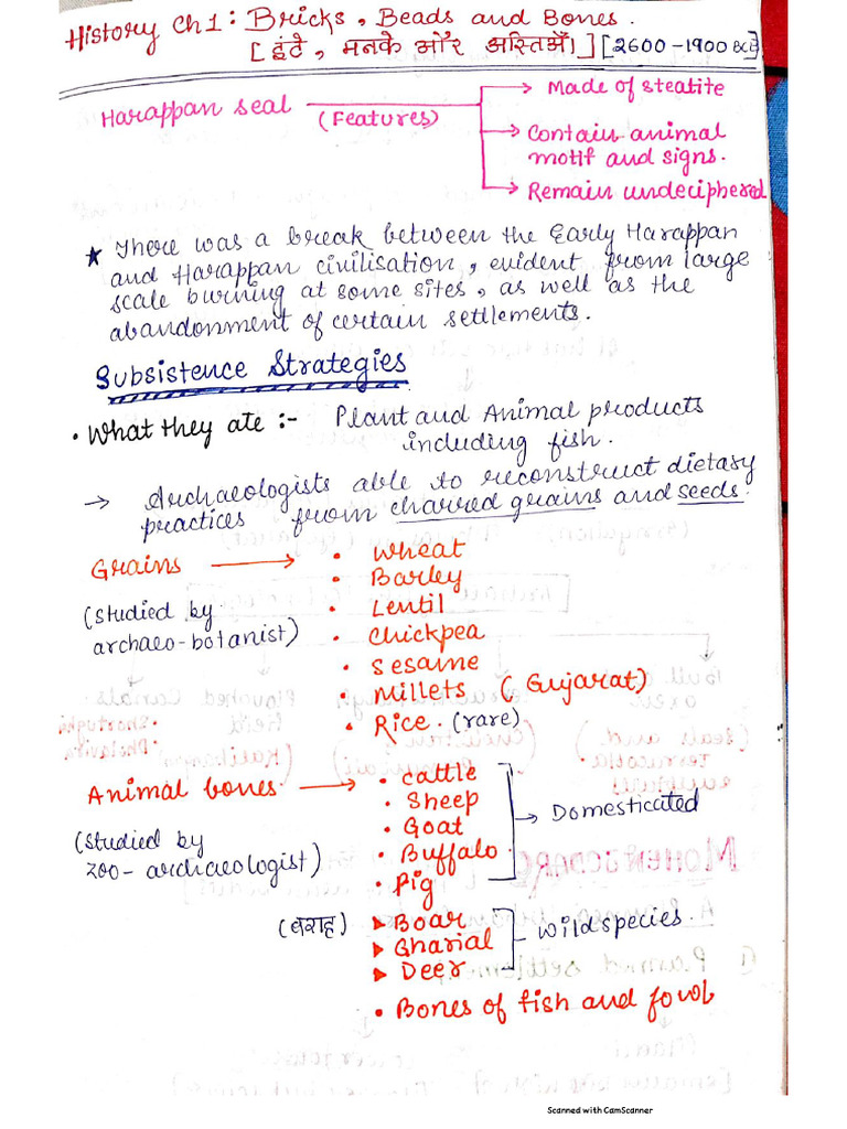 CH 1 History Notes Class 12-1-1 | PDF