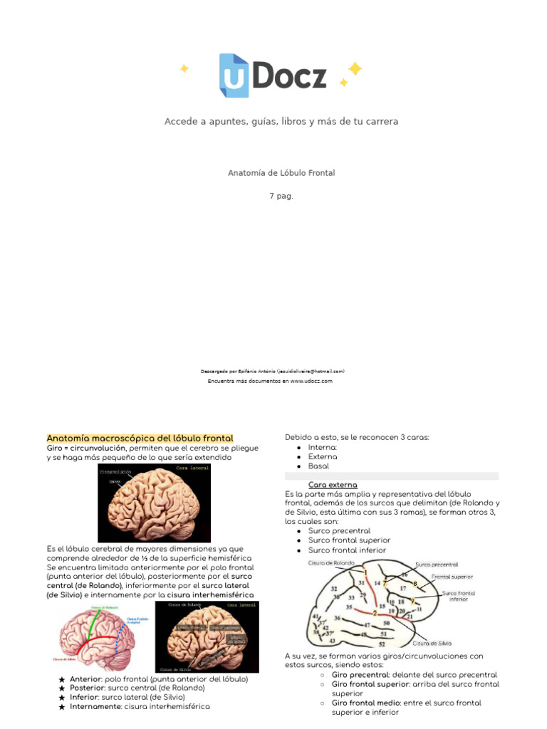 Anatomia de Lobulo F 365806 Downloadable 2506494 | PDF