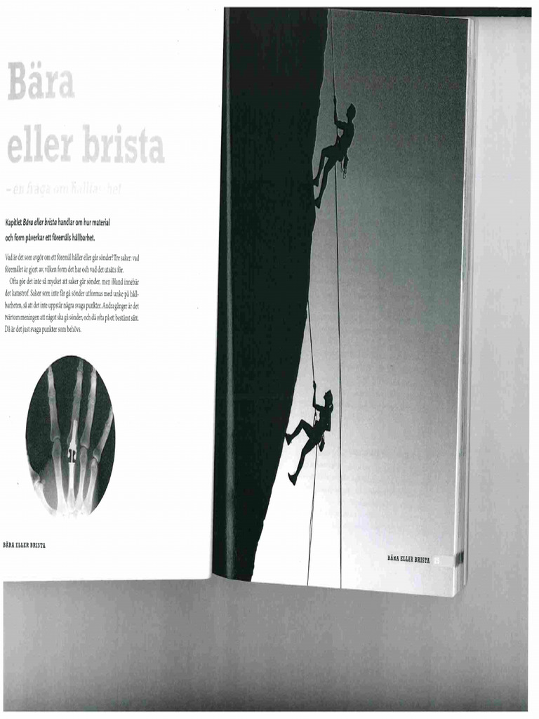 Bära eller brista | PDF