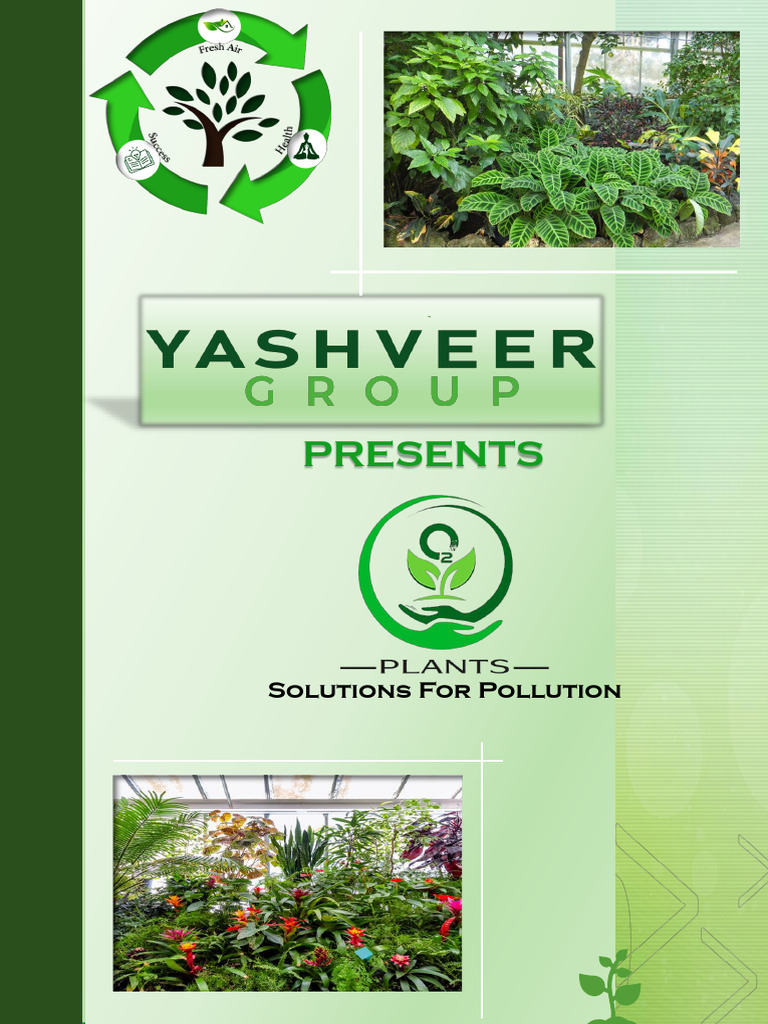 Yashveer Group - Gift Plants Catalogue | PDF