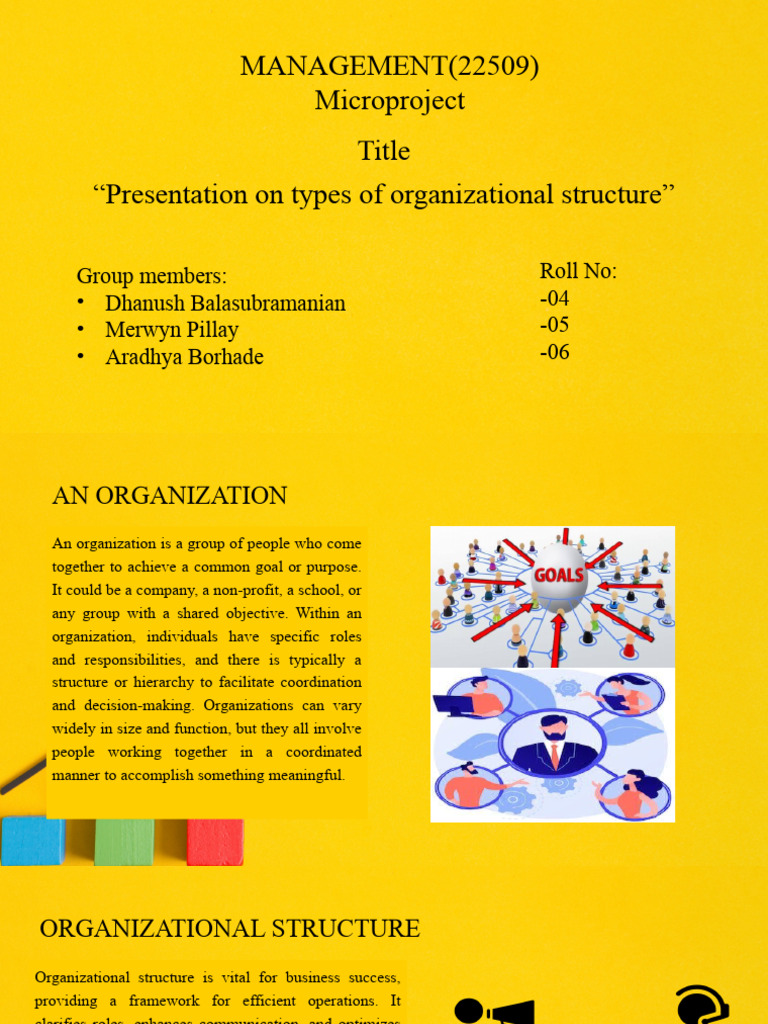 Types Of Organization Pdf Organizational Structure Goal