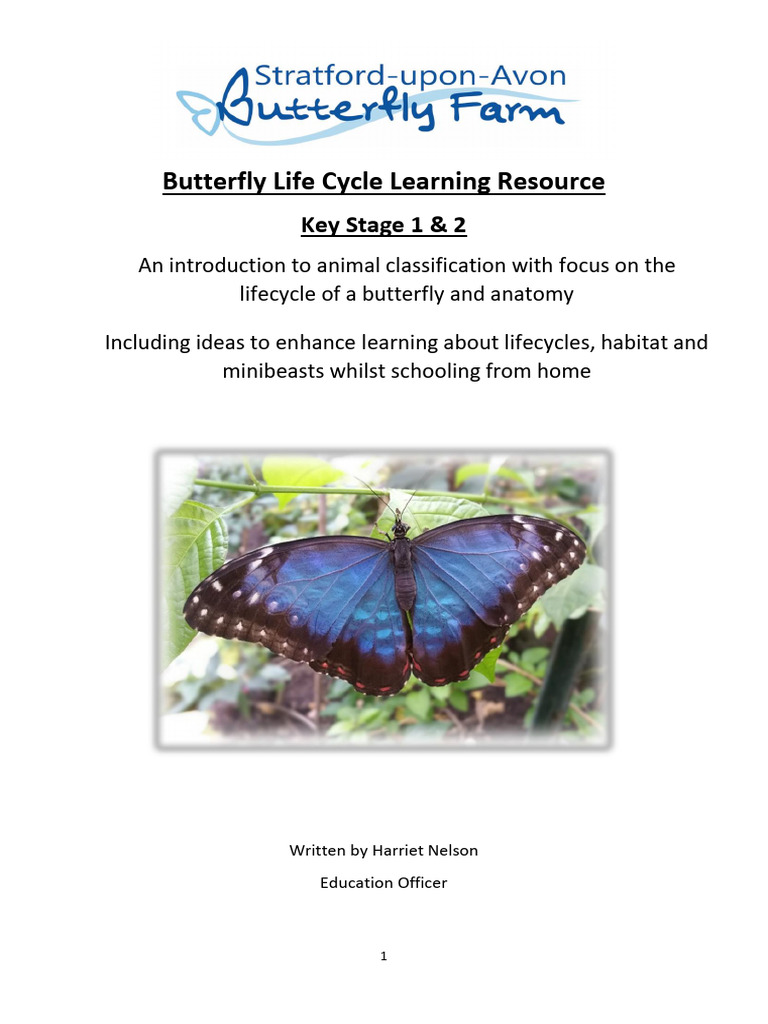 Butterfly Life Cycle Learning Resource Stratford Butterfly Farm | PDF ...