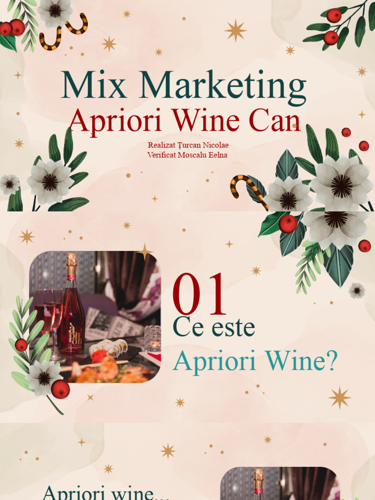 Mix Marketing Apriori Turcan Nicolae CECE 20092 | PDF