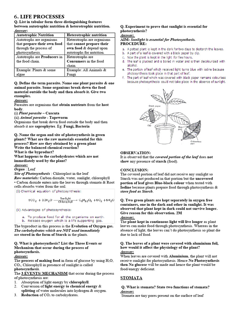 Class 10th LIFE PROCESS NOTES | PDF