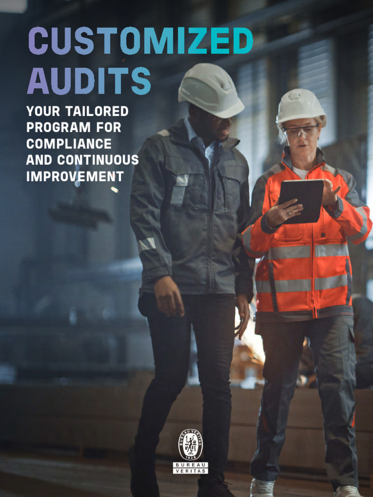 Customized Audit Brochure_web | PDF