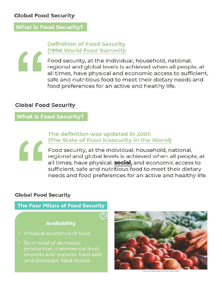Global Food Security | PDF