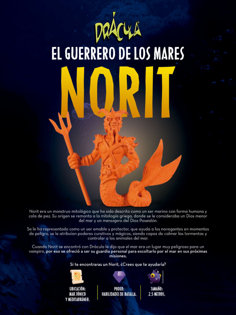 Norit Historia | PDF