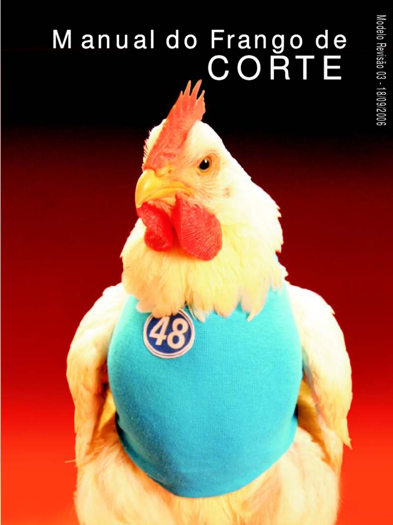 Manual de criação de frango de corte | Aves | Calor