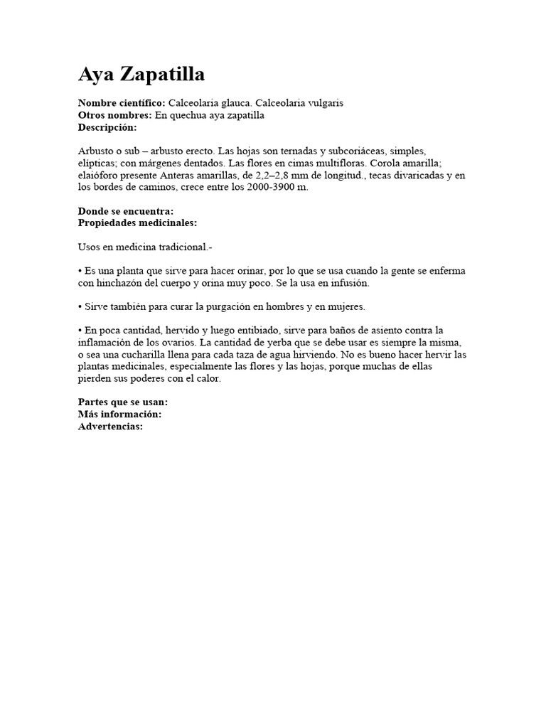 Aya Zapatilla - Docx F. | PDF