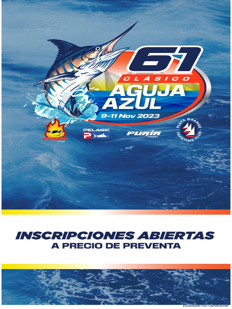 Brochure Aguja Azul-2 | PDF