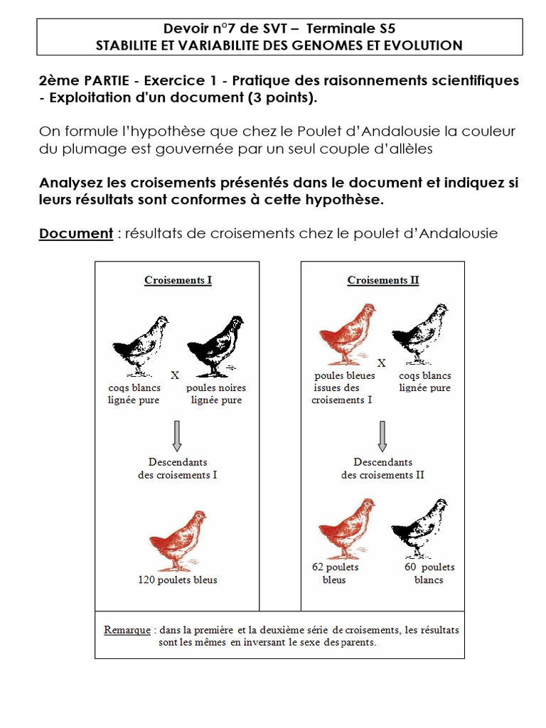Devoir Classe Nc2b07 | PDF