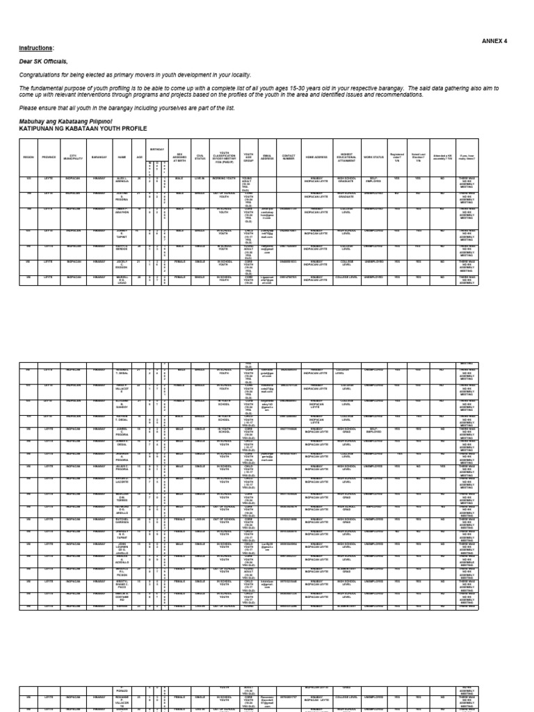 KK Youth Profiling Annex 4 Template | PDF | Youth