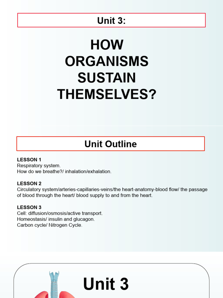 Lesson_1__grade_9 | PDF
