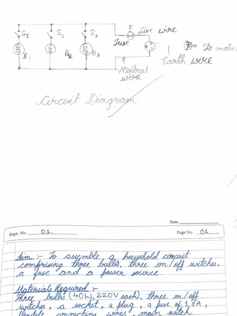 Activities Class 12 | PDF