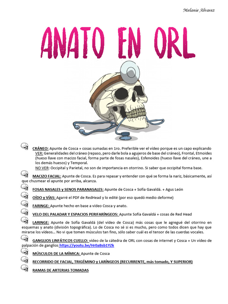 1 - ANATO en ORL | PDF | Anatomía | Sistema musculoesquelético