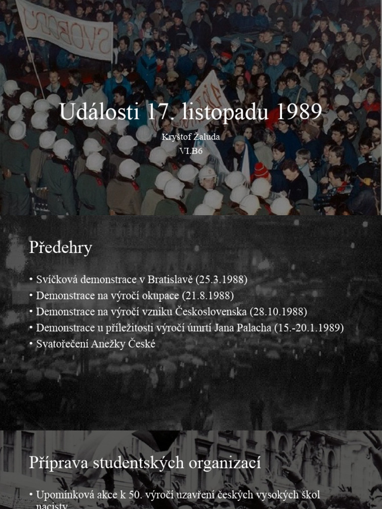 Demonstrace Listopad | PDF