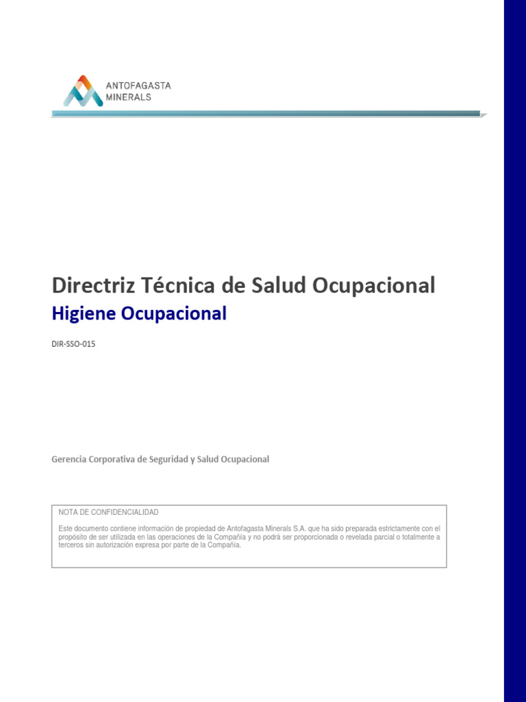 Directriz Técnica Higiene Ocupacional | PDF | Higiene Ocupacional | Seguridad y salud ocupacional