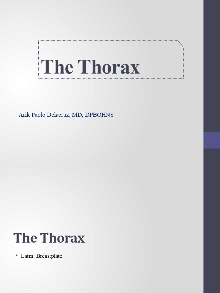 Anatomy Of Thorax Pdf Thorax Thorax Human Anatomy