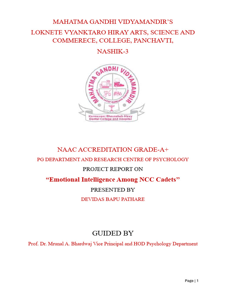 Devidas Project Finl | PDF