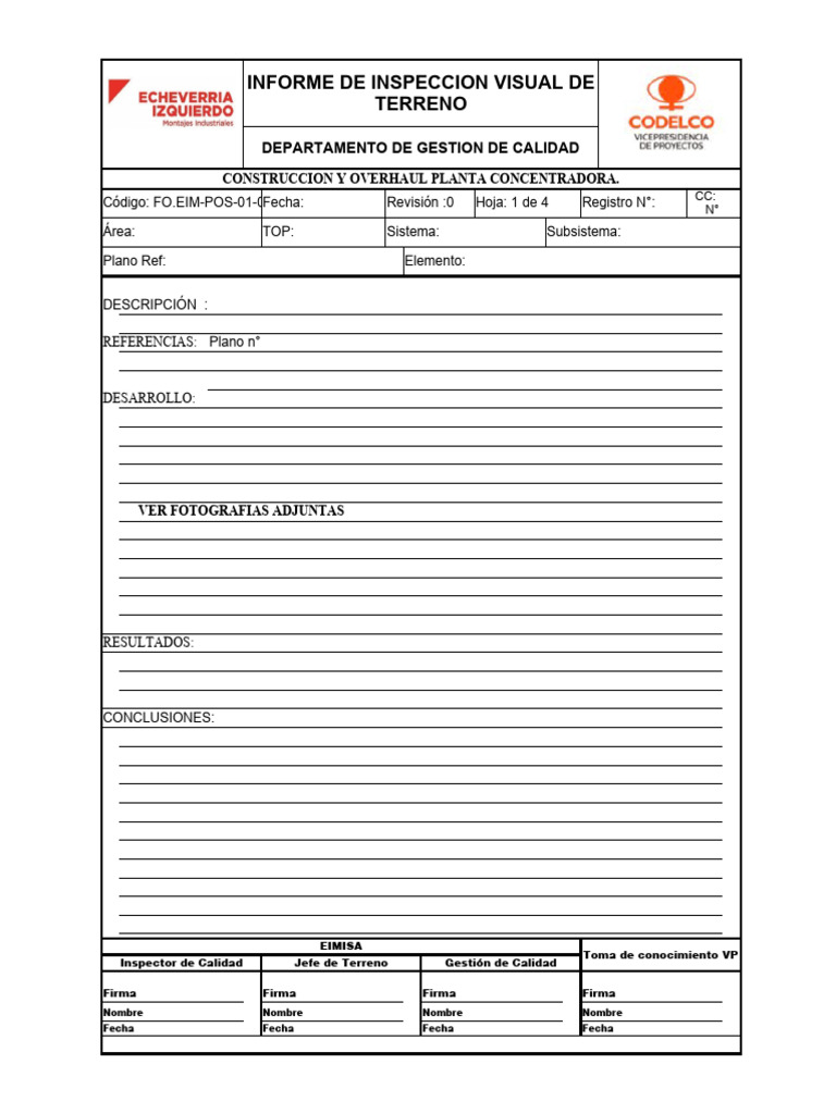 Formato Inspeccion Visual. | PDF