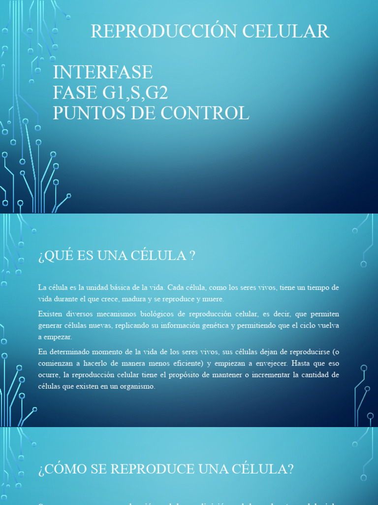 Interfase | PDF | Ciencia y matemáticas