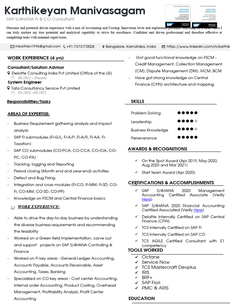 Karthikeyan Manivasagam - Exp Resume | PDF | Business | Economies