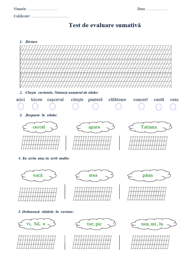 Evaluare Sumativa CLR L, P, V, CE, CI | PDF