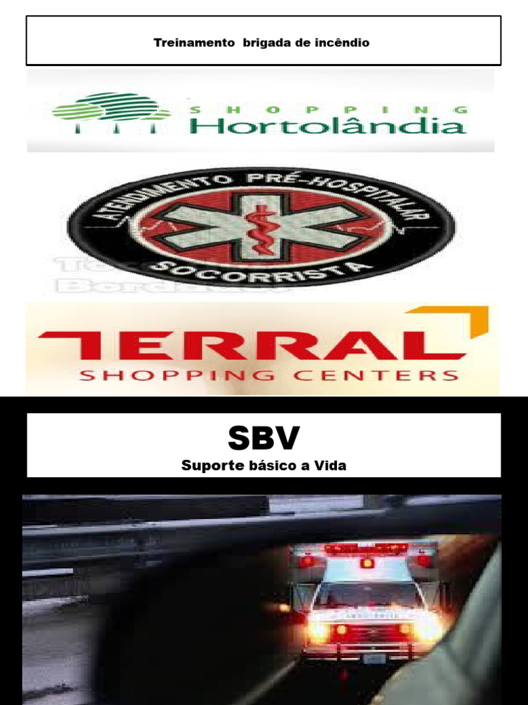 Treinamento de SBV Completo | PDF