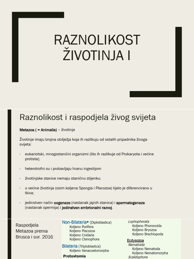 13 Raznolikost Zivotinja I | PDF