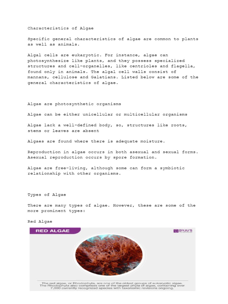 Characteristics of Algae | PDF