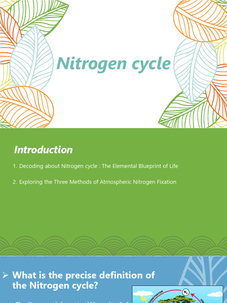 Nitrogen Cycle | PDF