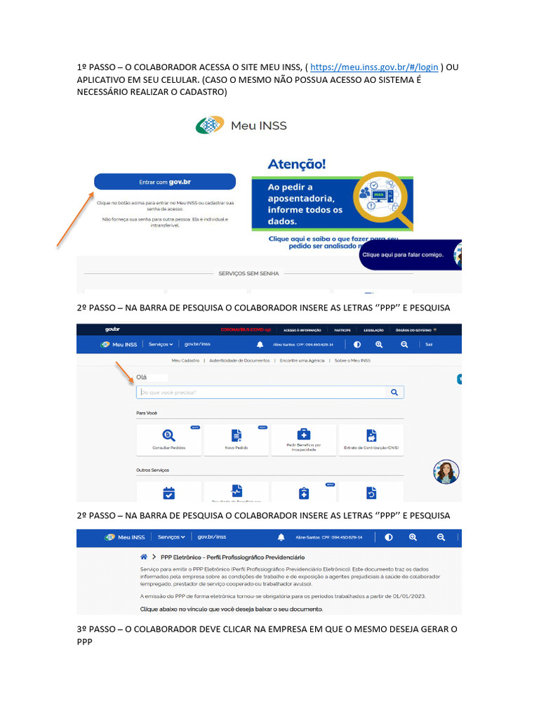 Passo A Passo PPP ELETRÔNICO 2023 | PDF